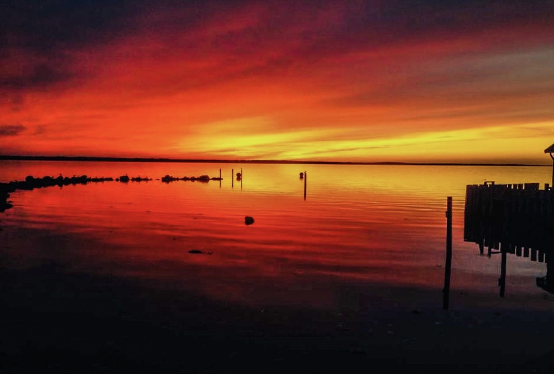 Liv og Glade Dageløkke | Strandfestival | Den 10. og 11. juli 2024 | Se mere her